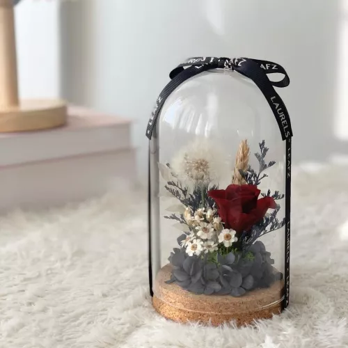 520 Le Petit Prince Bell Jar (Preserved Flower) - Laurels & Leafz's ...